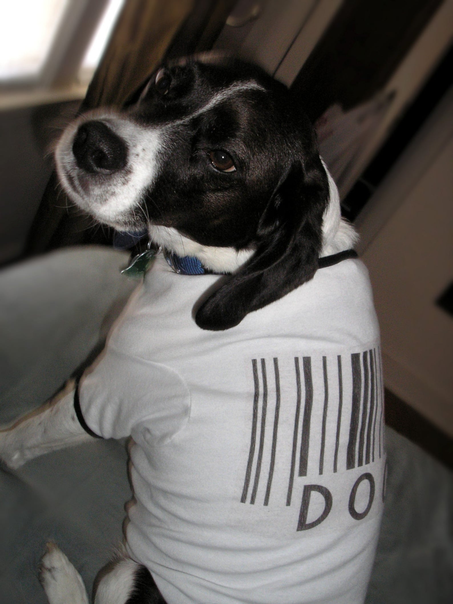 Custom Barcode Dog T-Shirt | Etsy