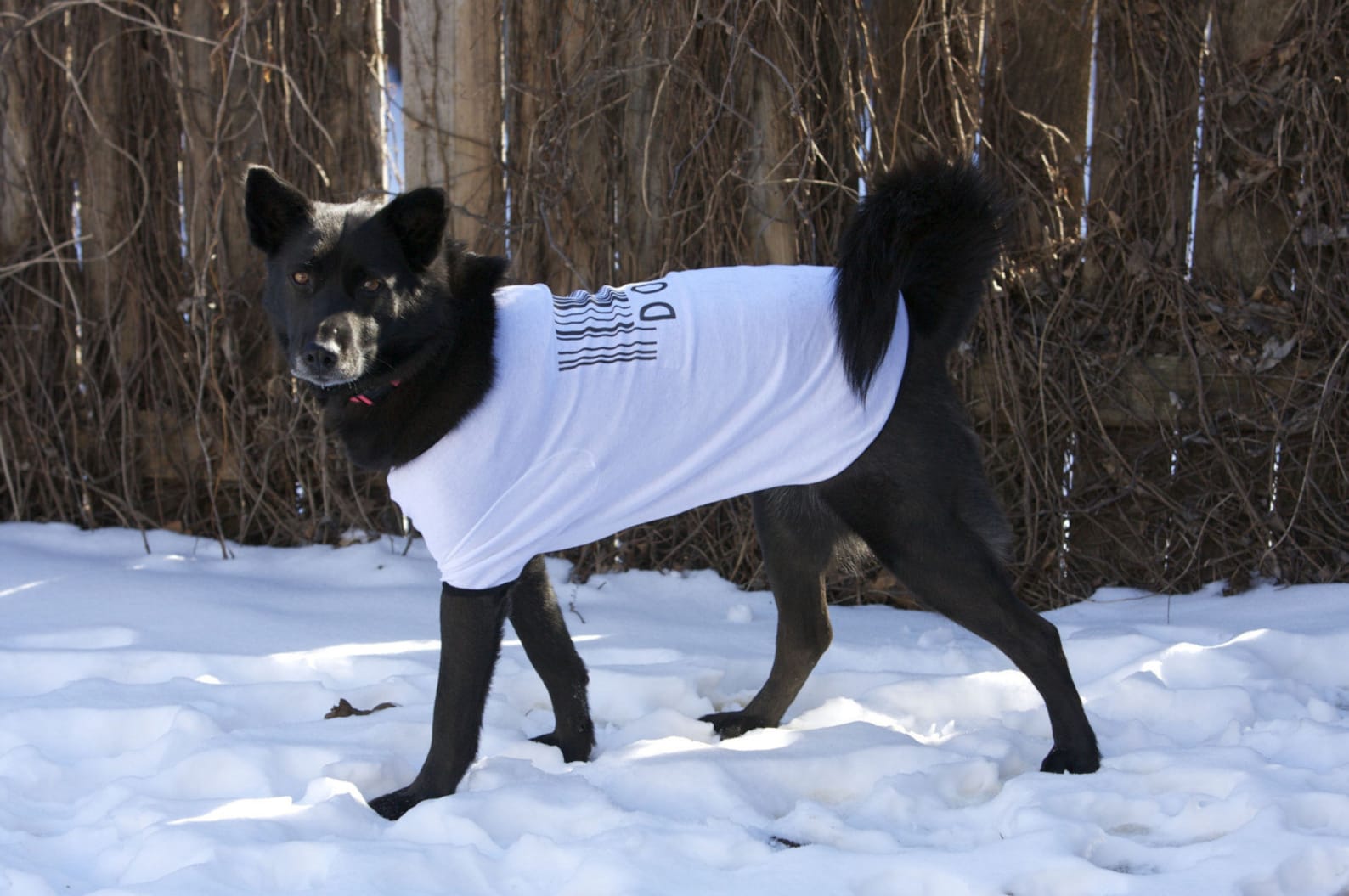 Custom Barcode Dog T-Shirt | Etsy