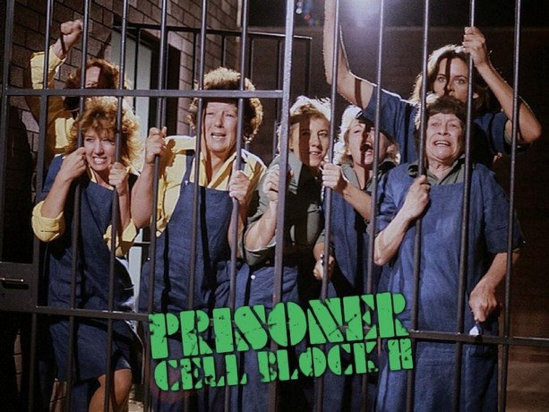 Prisoner Cell Block H Complete Series on Hard Drive 692 Eps Extras - Etsy