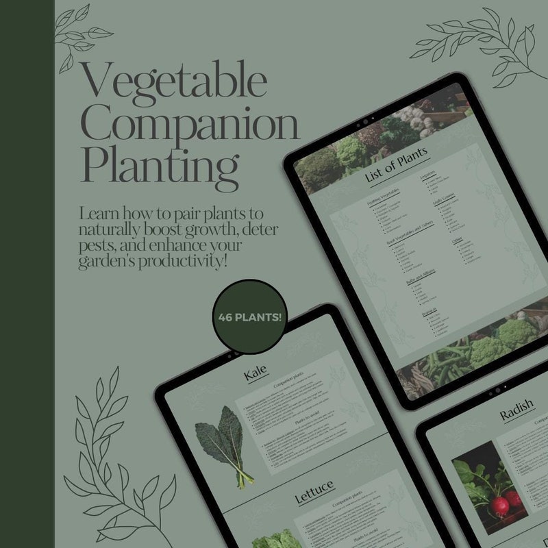 Companion Planting Guide - Etsy