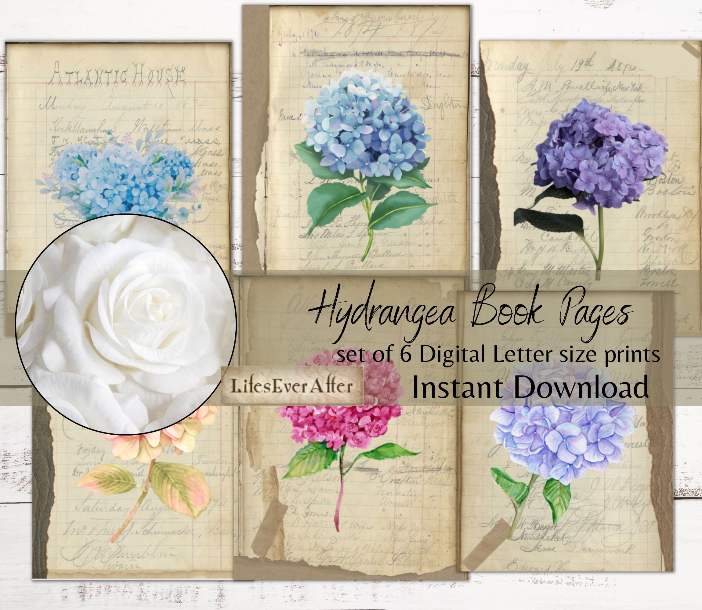 Hydrangea Book Pages Prints, Junk Journal Prints, Pintables, Prints ...