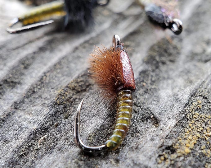 Apex D-rib Larva - 3pcs Fly Fishing Flies - Etsy