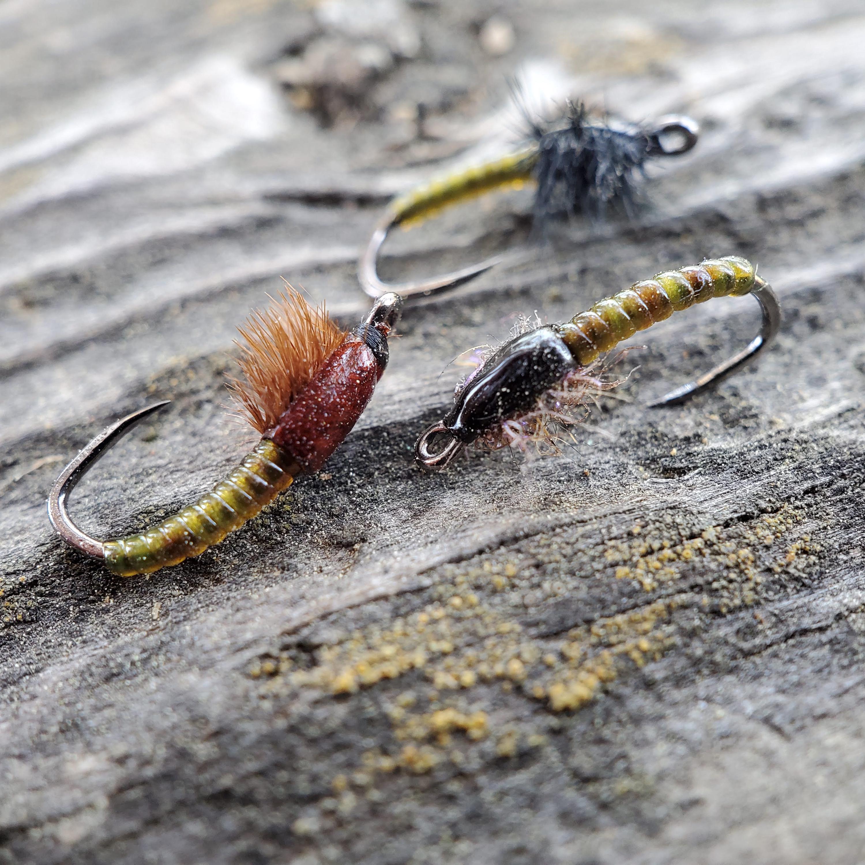 Apex D-rib Larva - 3pcs Fly Fishing Flies - Etsy