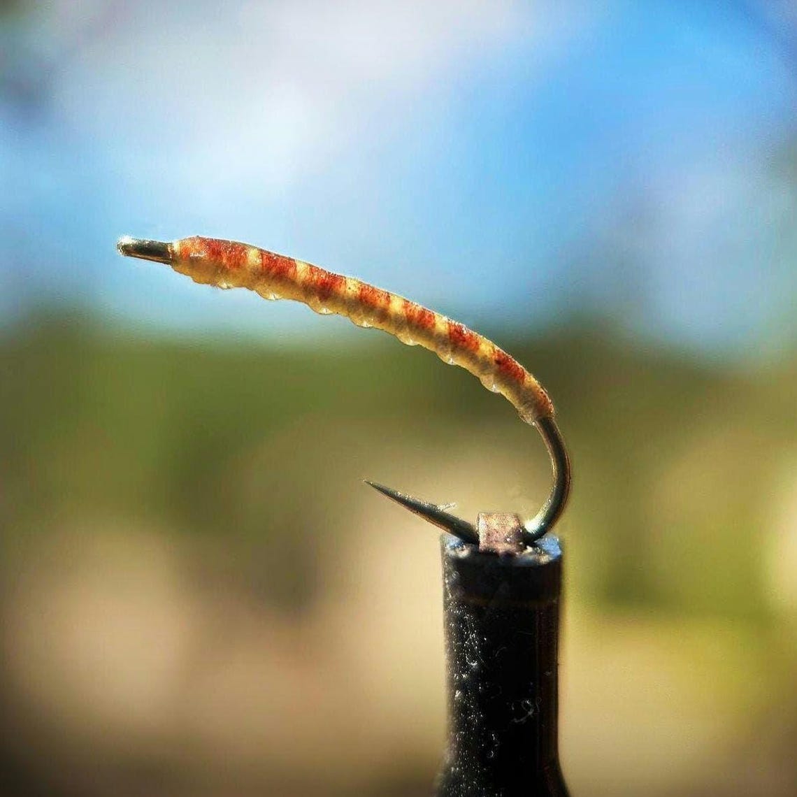 Pale Ale Midge I Realistic Larva Fly | Trout Nymph, Zebra Midge ...