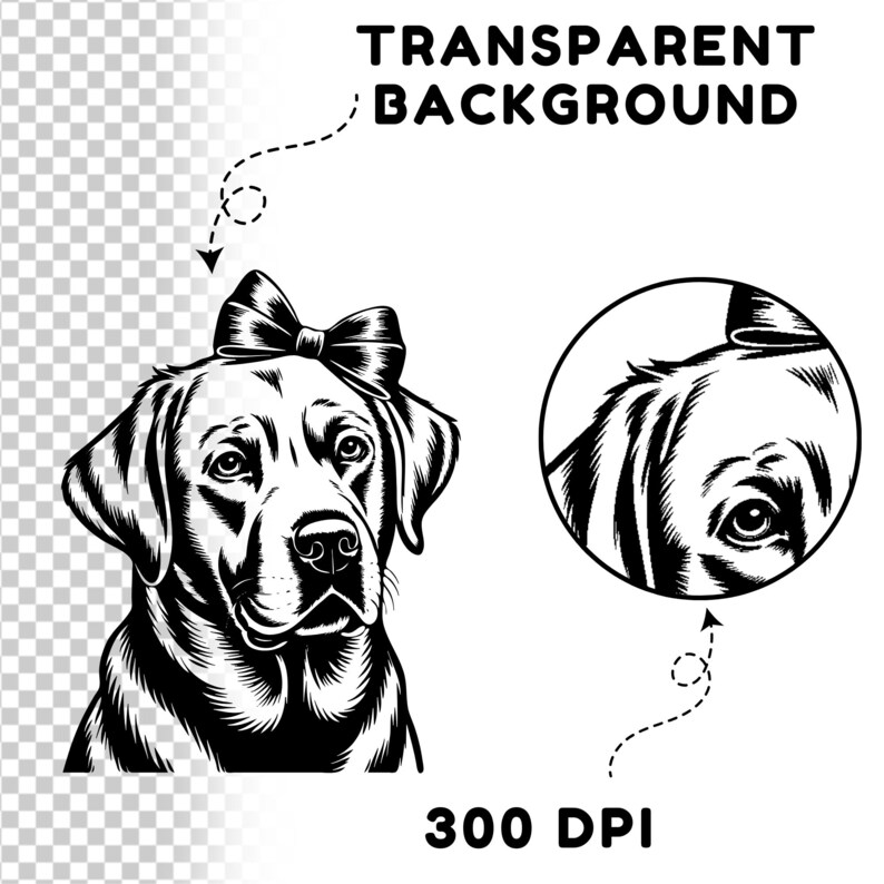 Labrador Retriever SVG Bundle 365 Designs – Lab Dog SVG, Puppy Clipart ...