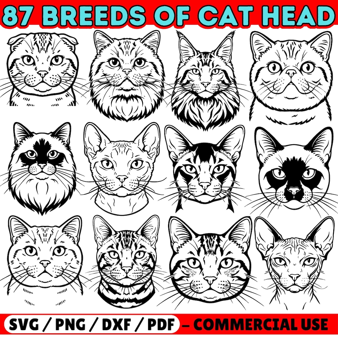 Cat Breeds Head SVG Bundle | Cat Face Line Art Clipart for Cricut ...