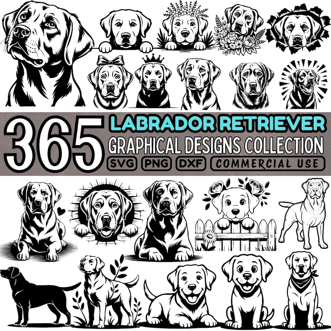 Labrador Retriever SVG Bundle 365 Designs – Lab Dog SVG, Puppy Clipart ...