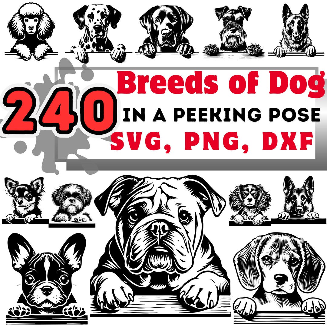 Dog Breed SVG Bundle: 240 Breeds Peeking Pose, Vector Graphics | Cricut ...