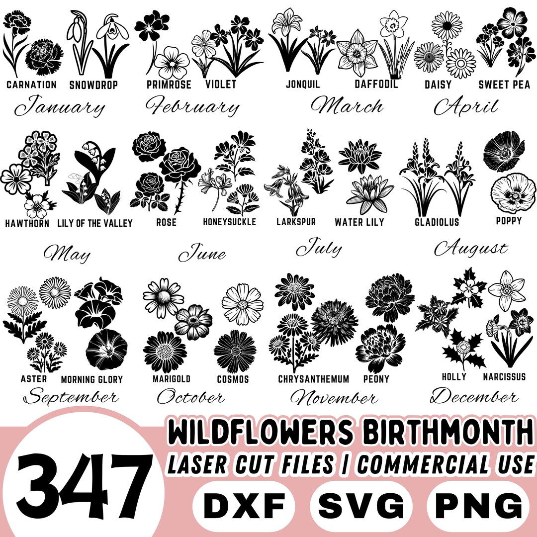 347 Wildflowers Birth Month SVG Laser Cut Files Bundle, Vector Graphics ...