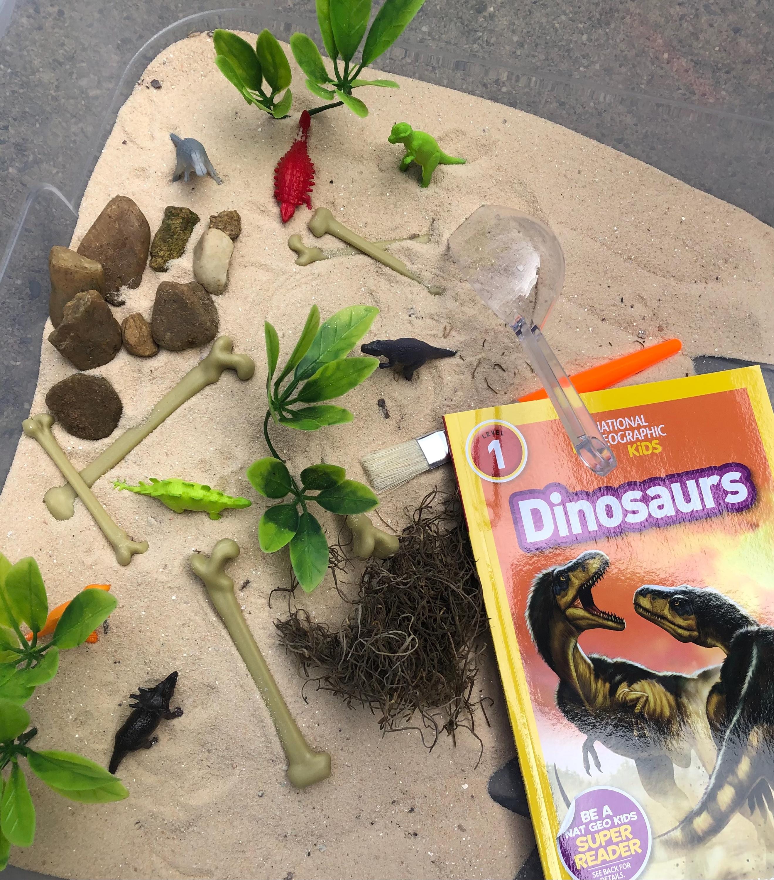 Dinosaurs(national Geographic Kids)- Children’s Book and Activity Kit ...