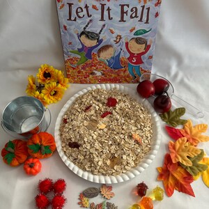 Fall/autumn Sensory Bin and Book - Etsy
