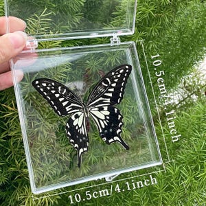 Nature Butterfly 3D Floating Frame With Support Base, Original ...
