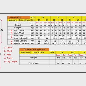 Oscar Piastri Mclaren 2025 Go-kart Racing Suit – CIK/FIA Level 2 ...