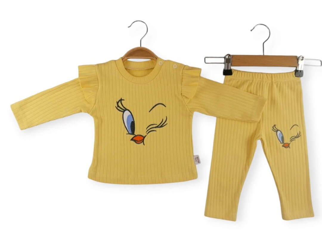 Tweety Bird Sweatshirt, Cozy Sweater, 1st Birthday, Lounge Set, Tweety ...
