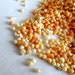 Toasted Amaranth Grains. Natural and Cooked With Honey From Baja With ...