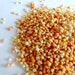 Toasted Amaranth Grains. Natural and Cooked With Honey From Baja With ...