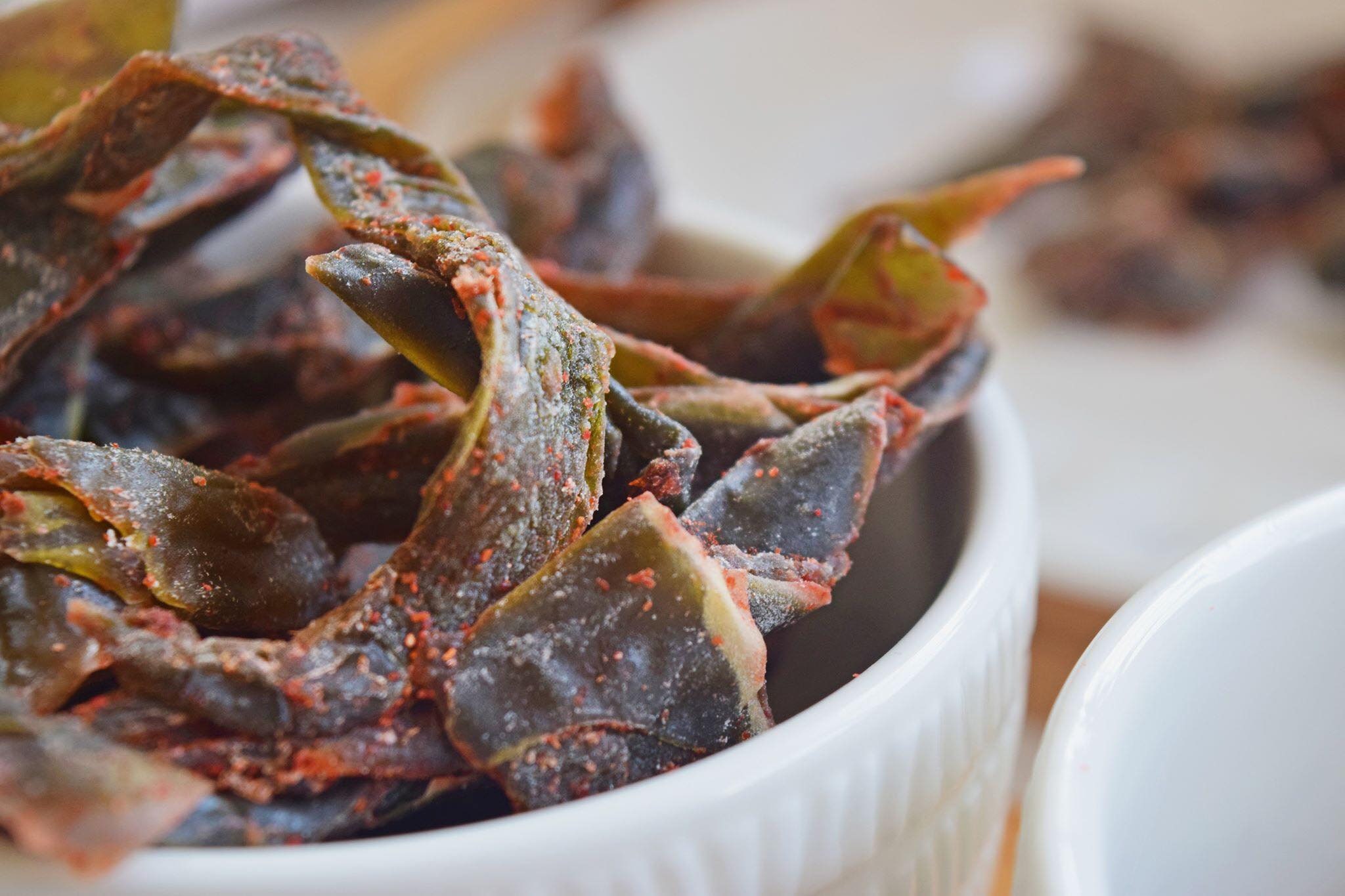 Nopalitos OM Nopal / Cactus Dried Fruit Delicious Snack | Etsy