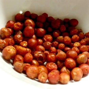 Chiltepin - Sonoran Wild Peppers From Baja With Love - Etsy