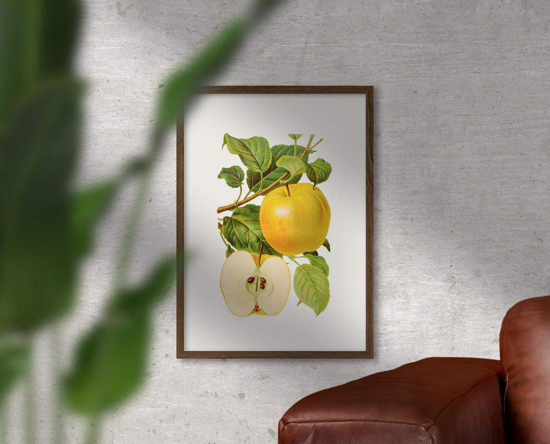 Vintage Apple Artwork, Botanical Apple Print, Apple Illustration Design ...