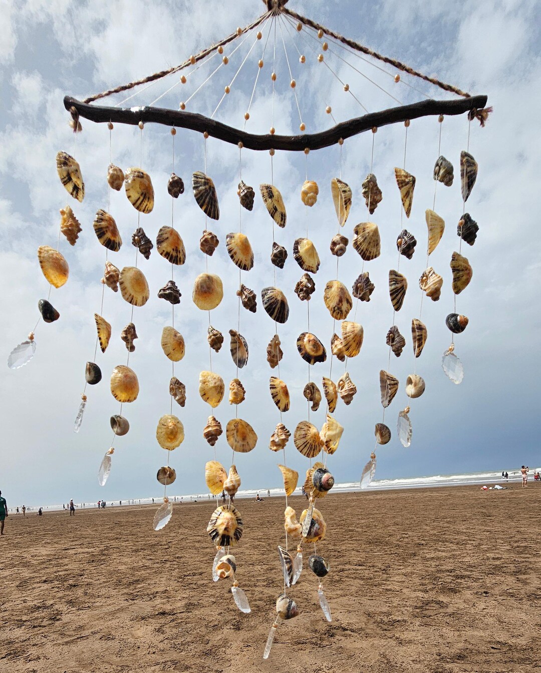 Wind Chimes, Sea Shells, Shells, Shell Wind Chimes, Nautical Decor ...