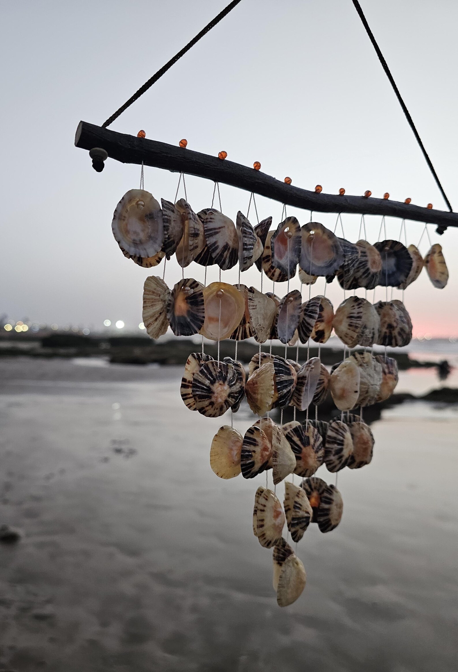 Seashell Wind Chime, Coastal Wall Hanging, Nautical Home Decor, Shell ...