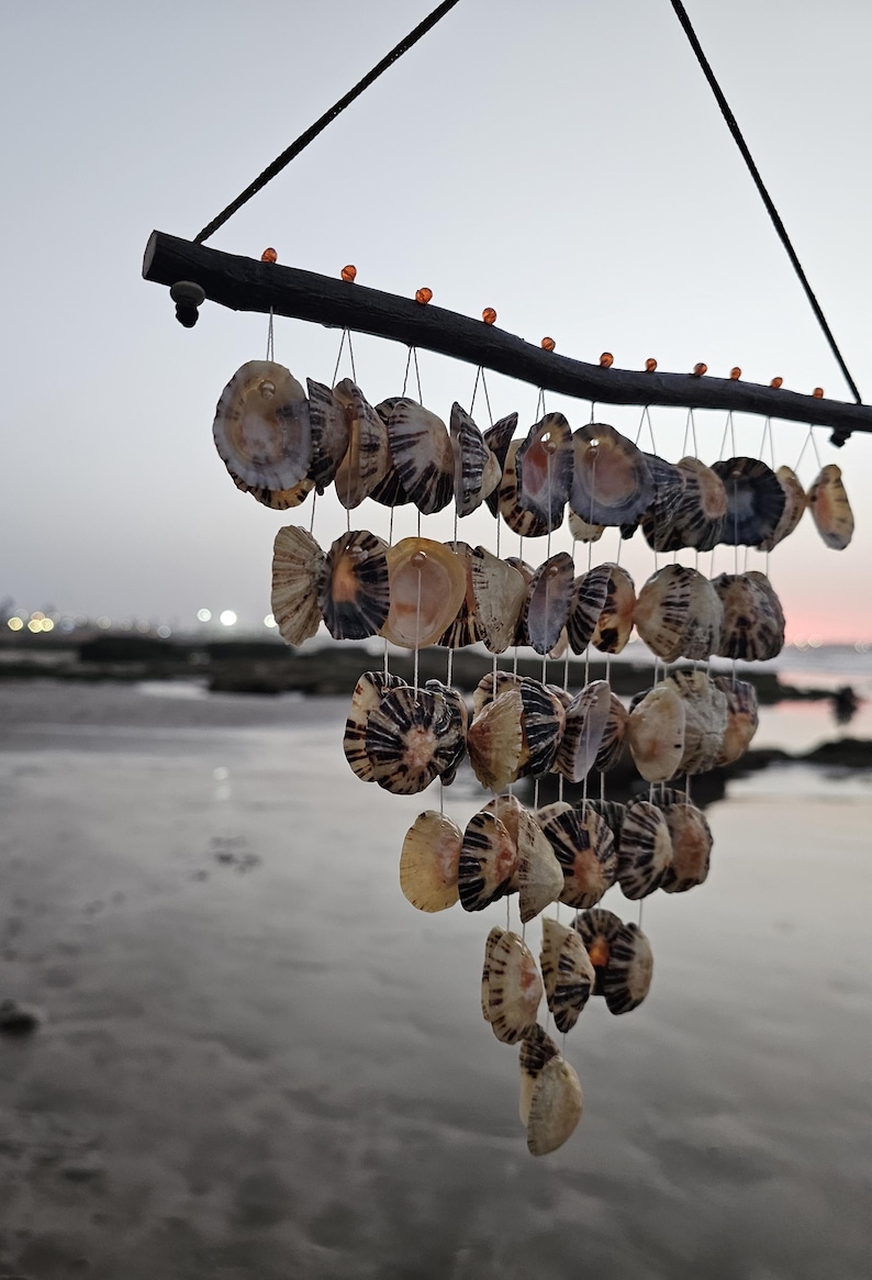 Seashell Wind Chime, Coastal Wall Hanging, Nautical Home Decor, Shell ...