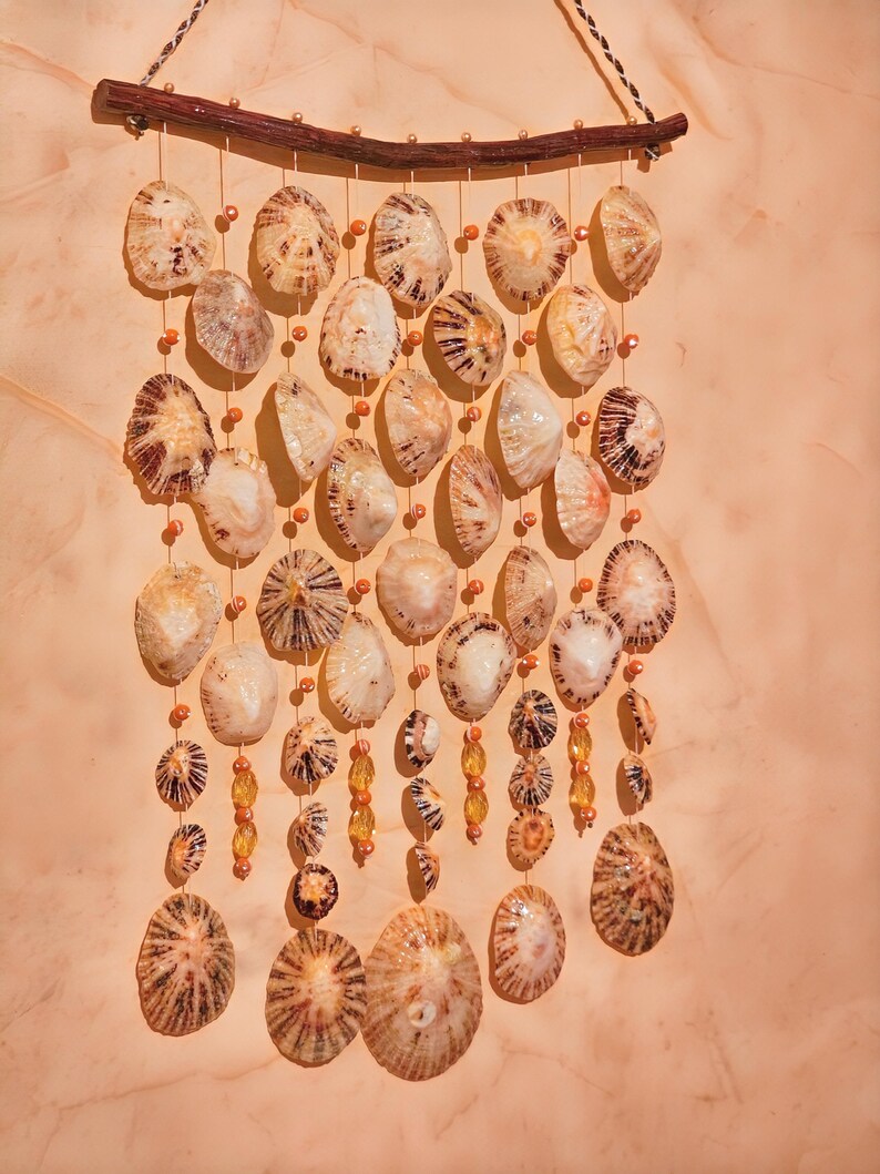 Handcrafted Seashell Wind Chimes, Coastal Boho Decor, Perfect Gift for ...