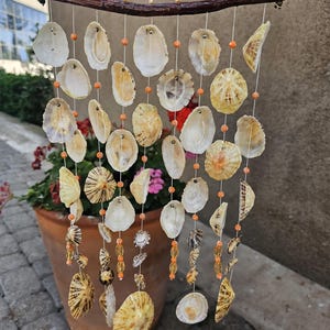 Handcrafted Seashell Wind Chimes, Coastal Boho Decor, Perfect Gift for ...