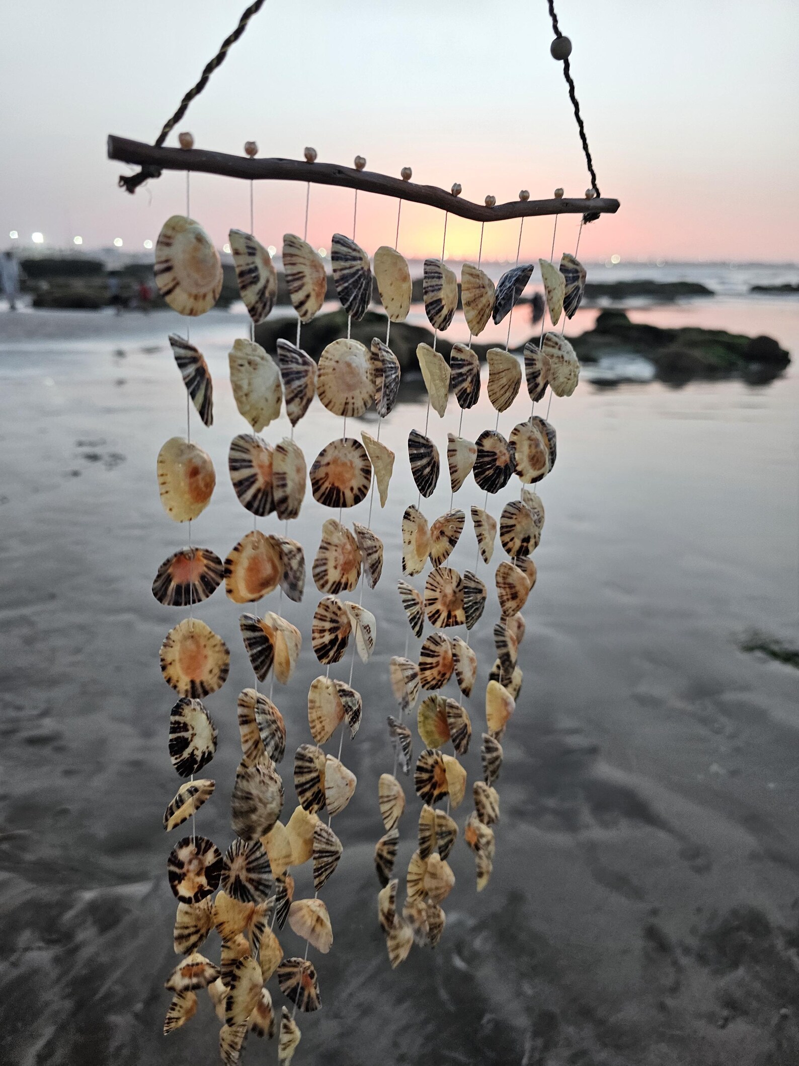 Seashell Wind Chime, Coastal Wall Hanging, Nautical Home Decor, Shell ...