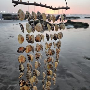 Seashell Wind Chime, Coastal Wall Hanging, Nautical Home Decor, Shell ...