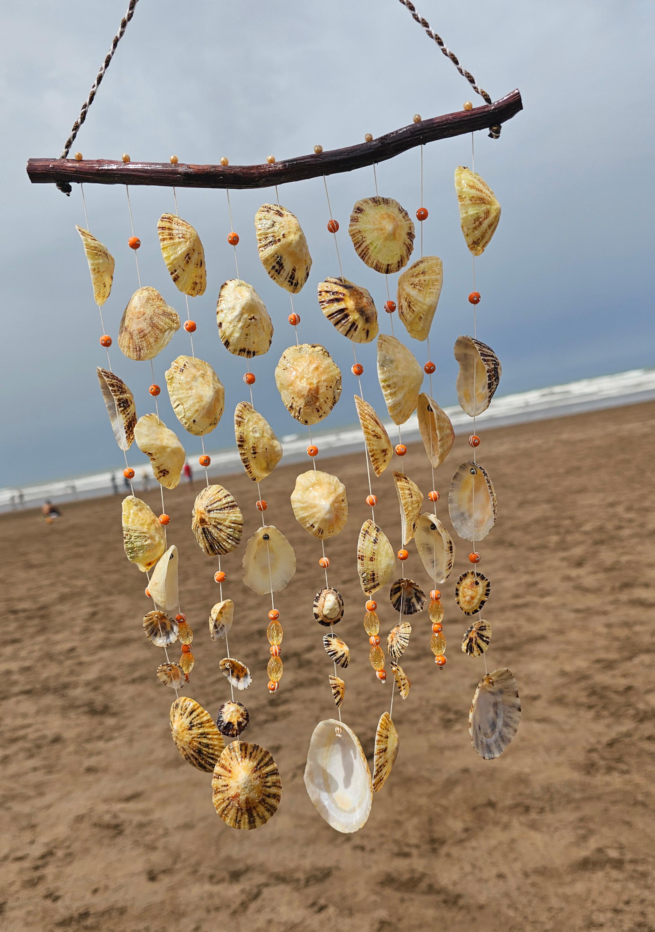 Handcrafted Seashell Wind Chimes, Coastal Boho Decor, Perfect Gift for ...
