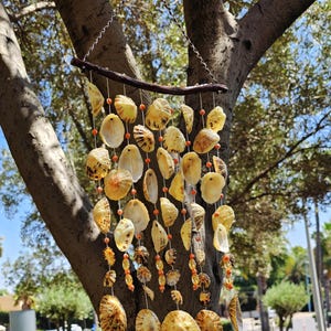 Handcrafted Seashell Wind Chimes, Coastal Boho Decor, Perfect Gift for ...