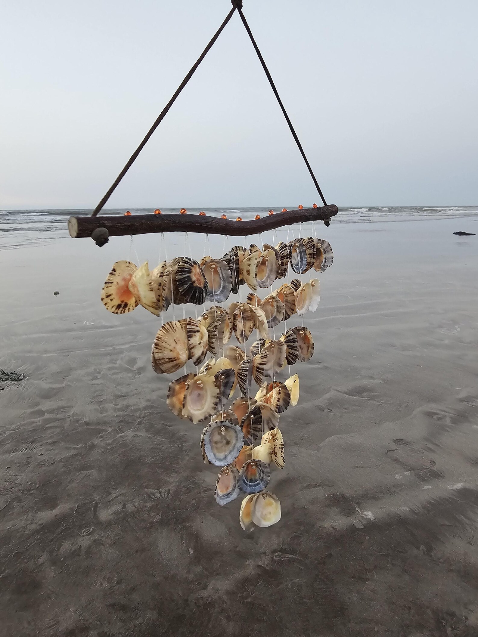 Seashell Wind Chime, Coastal Wall Hanging, Nautical Home Decor, Shell ...