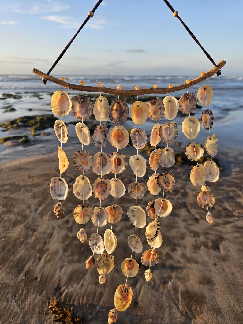 Seashell Wind Chime, Coastal Wall Hanging, Nautical Home Decor, Shell ...