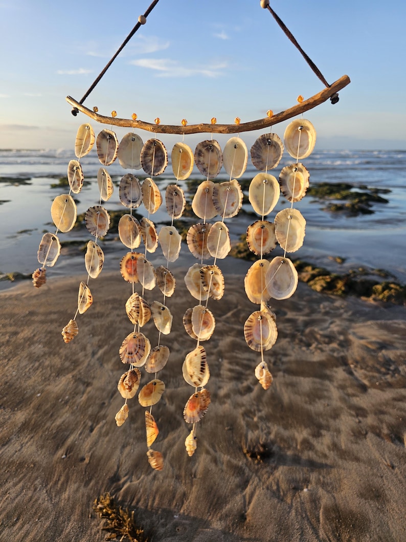 Seashell Wind Chime, Coastal Wall Hanging, Nautical Home Decor, Shell ...