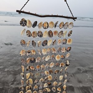 Seashell Wind Chime, Coastal Wall Hanging, Nautical Home Decor, Shell ...