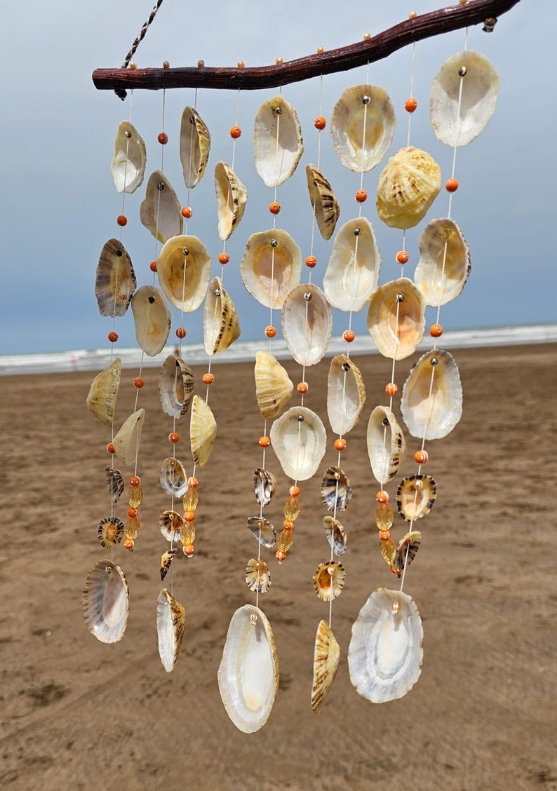 Handcrafted Seashell Wind Chimes, Coastal Boho Decor, Perfect Gift for ...