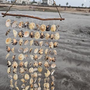 Seashell Wind Chime, Coastal Wall Hanging, Nautical Home Decor, Shell ...