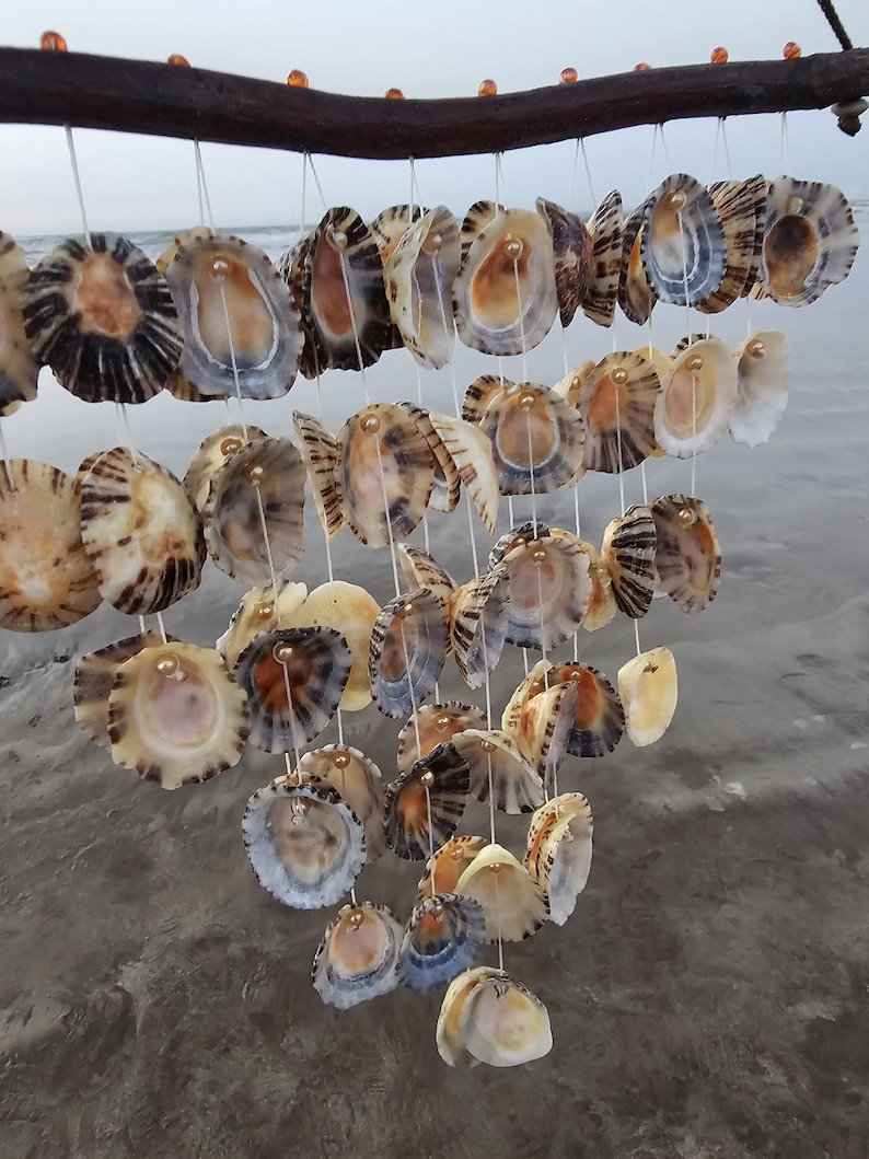 Seashell Wind Chime, Coastal Wall Hanging, Nautical Home Decor, Shell ...