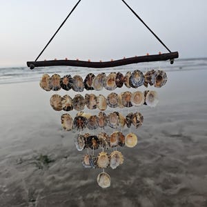 Seashell Wind Chime, Coastal Wall Hanging, Nautical Home Decor, Shell ...