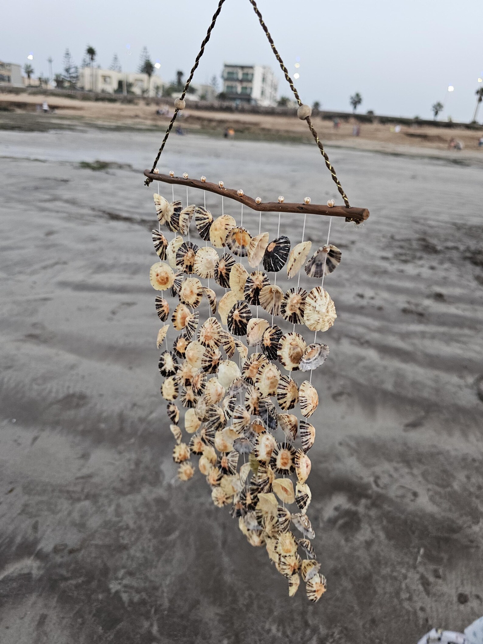 Seashell Wind Chime, Coastal Wall Hanging, Nautical Home Decor, Shell ...