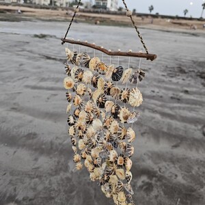 Seashell Wind Chime, Coastal Wall Hanging, Nautical Home Decor, Shell ...