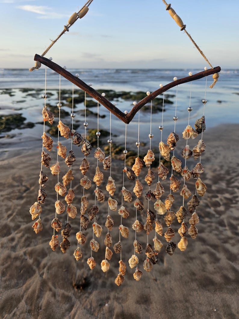 Seashell Beach Decor, Coastal Home Decor, Shell Wind Chimes, Beach ...