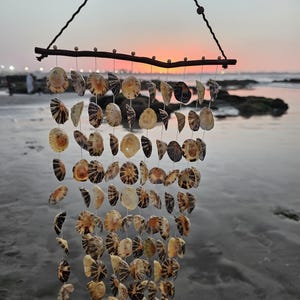 Seashell Wind Chime, Coastal Wall Hanging, Nautical Home Decor, Shell ...