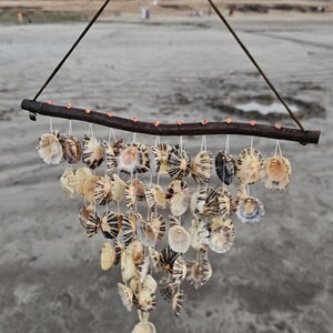 Seashell Wind Chime, Coastal Wall Hanging, Nautical Home Decor, Shell ...