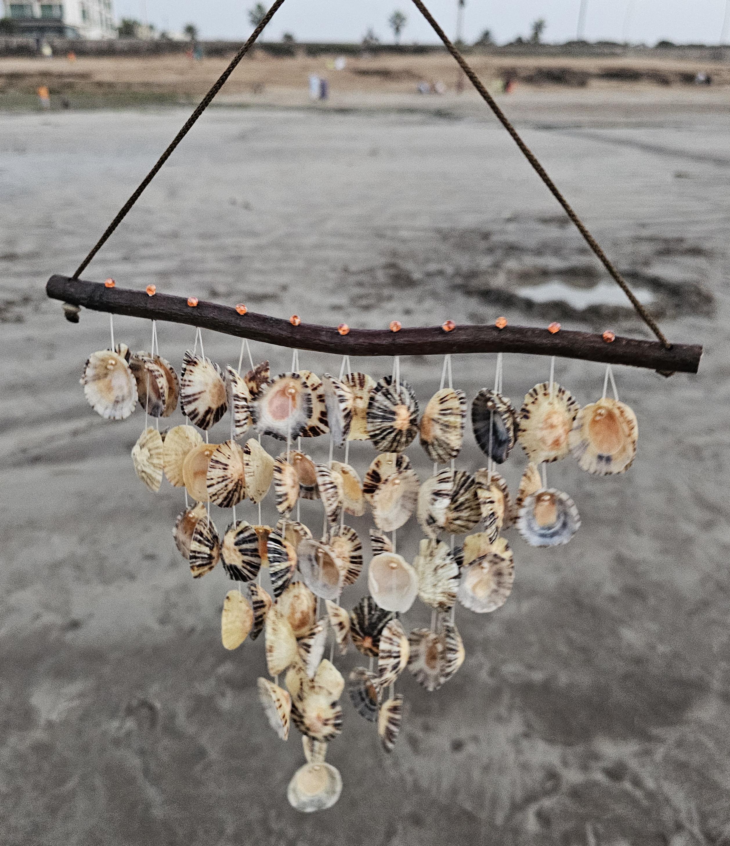Seashell Wind Chime, Coastal Wall Hanging, Nautical Home Decor, Shell ...