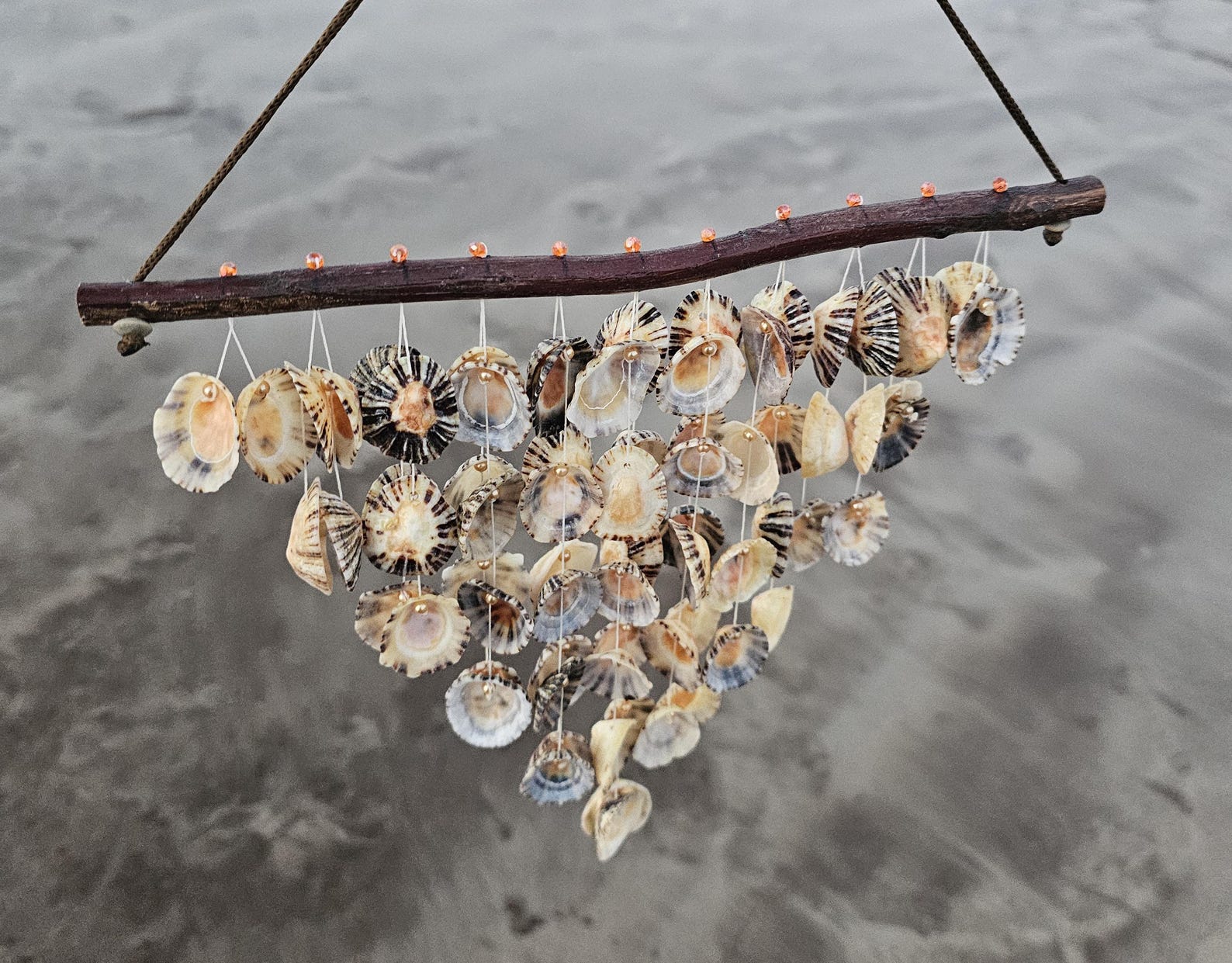 Seashell Wind Chime, Coastal Wall Hanging, Nautical Home Decor, Shell ...