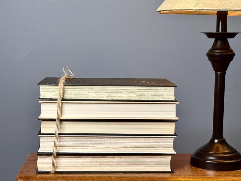 Vintage Romance Book Stack Danielle Steel Collection - Etsy