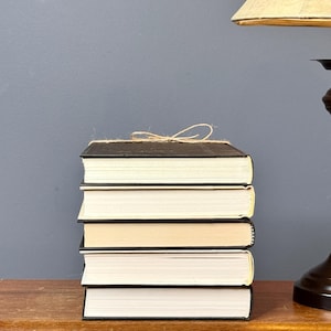 Vintage Romance Book Stack – Danielle Steel Collection - Etsy