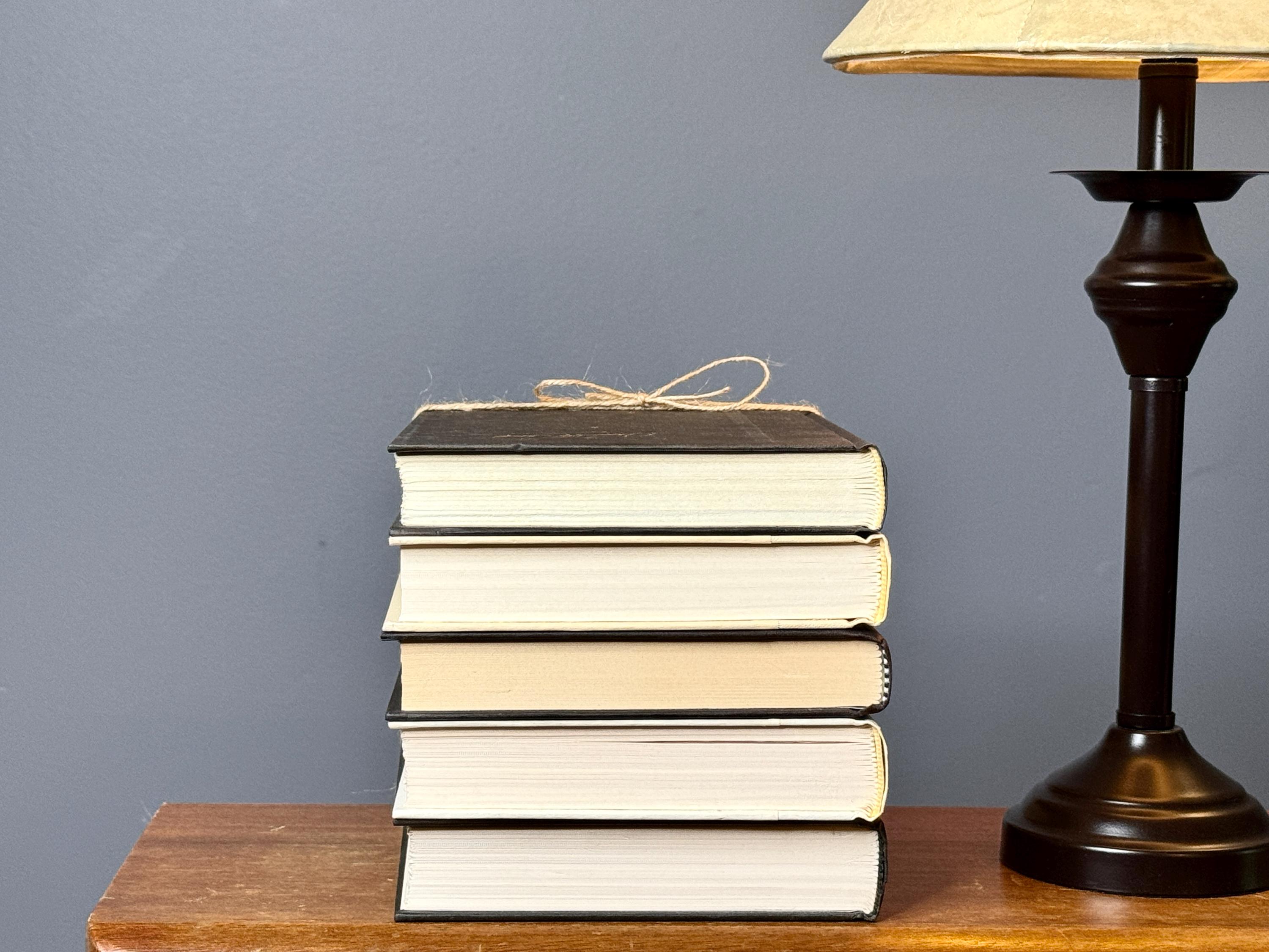 Vintage Romance Book Stack – Danielle Steel Collection - Etsy